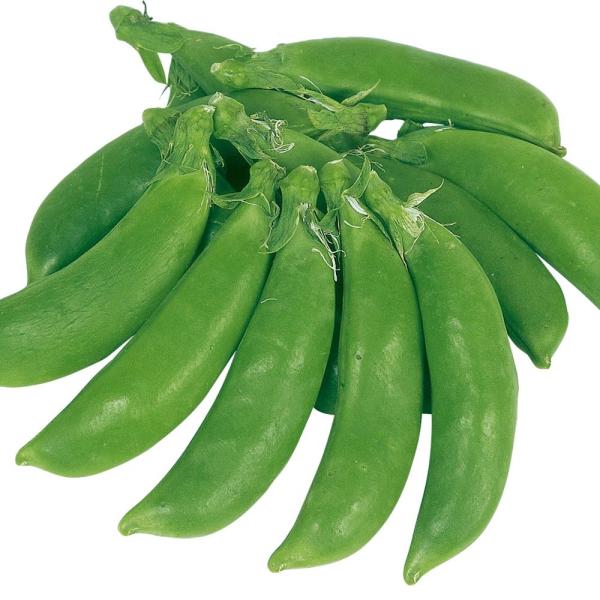 ●商品情報：皮までやらわか莢ごと甘くて旨い！莢ごと食べられるスナップエンドウの中でも特に皮が柔らかい！ 50秒湯がくだけで美味しい一品が出来上がります。下から順に花を8つほど取ると真っすぐ上へ伸び、収量はグンとアップ！ 夏まきで秋から降霜期...