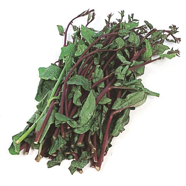 ●商品情報：夏場のスタミナに！●お届け状態：種子●備考：播種や植え付け後の栽培条件、天候等によりその結果が異なることがありますが、弊社の責と考えられる結果不良の責めはお買い上げ代金の範囲内とさせていただきます。また、果重・糖度などはおよその...