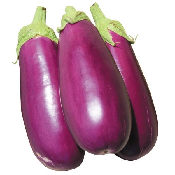 ●商品情報：鮮やかな紫色の果実にエメラルドグリーンのガクのコントラストが美しい美味しい米ナス！　果実は円筒形でツヤがあり、肉質は緻密でクセがなく旨い。皮も果肉も柔らかく、しかも豊産性の極上品種です。●果長（約）：20cm●お届け状態：種子●...