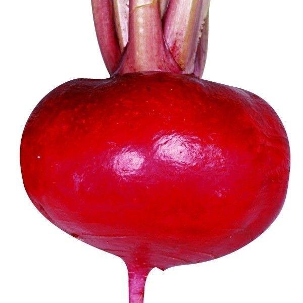 ●商品情報：美しい濃紅色で、芯にも赤みが入り紅白のコントラストがとってもキレイ!肉質緻密で歯ざわり良く、サラダや漬物に最適です。中〜大カブで収穫。●お届け状態：種子●入数の目安：10mlあたり約1000〜1500粒※品種により差があります。...
