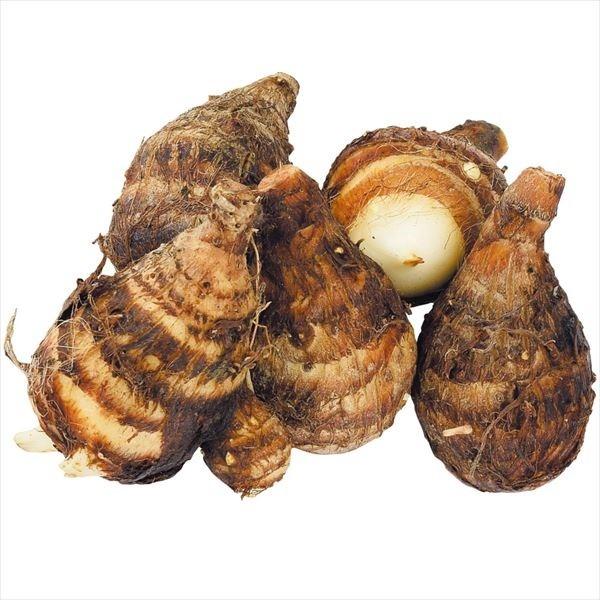 ●商品情報：親イモに多くの子イモがくっつく豪華な形状!ホックリした粉質の肉は里芋の中でも最高の旨さと言われています。●お届け状態：種イモ●分類：晩生●収穫期：9〜11月●日照条件：日なた、半日陰●栽培適地：畑●粘度：粉質●特徴：親・子イモ、茎食用