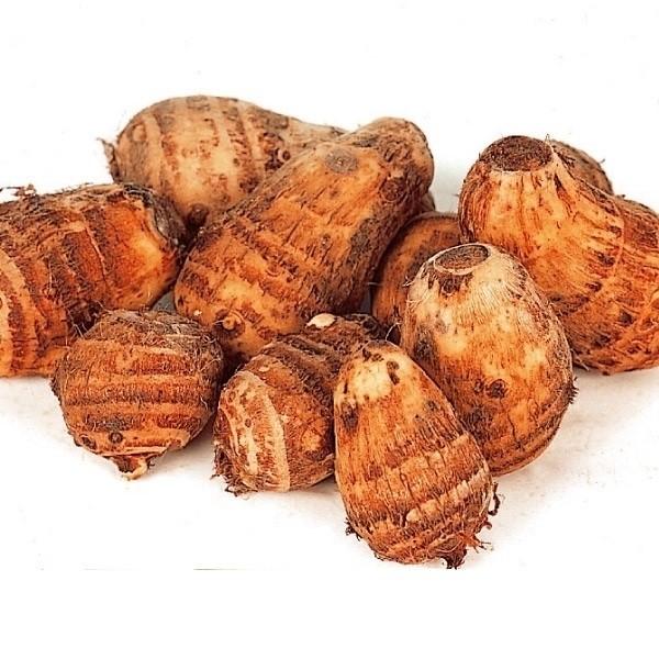 ●商品情報：粘り少なめで、ホクホクの肉質が最高の旨さ！しかも嬉しい豊産性のさといもです。●お届け状態：種イモ●収穫期：9〜11月●分類：早生●日照条件：日なた、半日陰●栽培適地：畑●粘度：やや粘質●特徴：子イモ食用