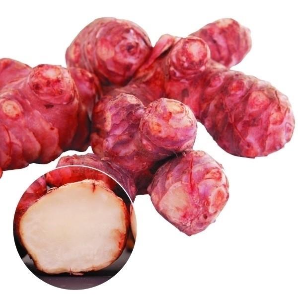 ●商品情報：じゃがいもとゴボウを合わせたような風味が特徴のキクイモ。イヌリンが豊富に含まれ大人気！味噌漬けや天ぷら、煮物、シチューなどでお楽しみください。●お届け状態：種イモ●生長後の樹高・草丈：2m●収穫期：10〜11月●日照条件：日なた...