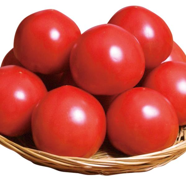 ●商品情報花が咲くだけで実がふくらむので着果が安定!株にスタミナがあるので長〜く収穫でき、しかも完熟するまで樹に成らせておけます。糖度が上がりやすく食味極上!葉カビ病、斑点病に強い品種です。●お届け状態接木9cmポット苗●果重(約)200g...