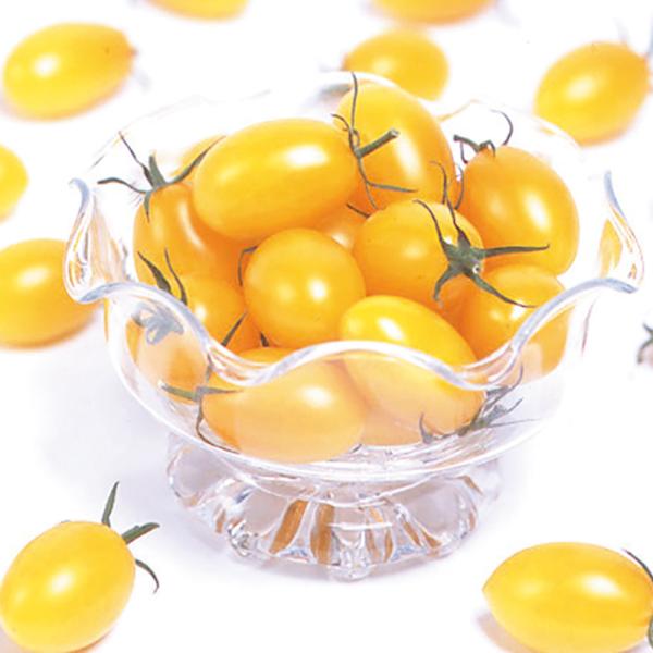 ●商品情報：「アイコ」同様、肉厚でゼリー部分が少なく甘味が強くウマイ！　さらにトマト特有の香りが少ない為フルーツ感覚で楽しめます。育て易さも抜群!。●ミニトマト●果重（約）：18〜25g●お届け状態：接木9cmポット苗●備考：※接木苗、特に...