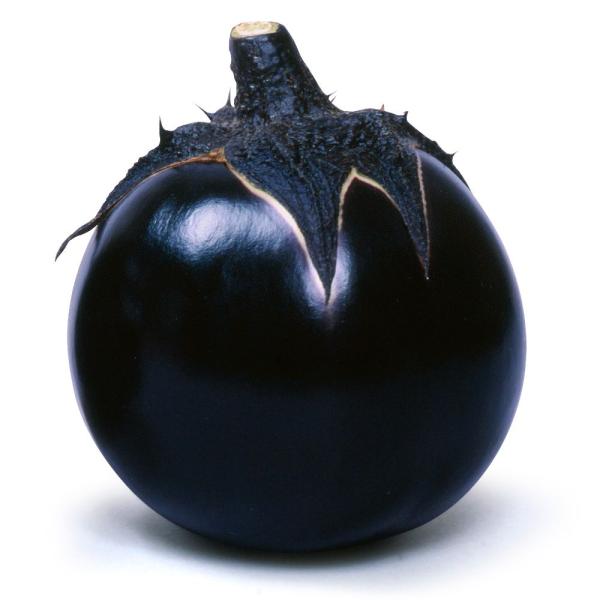 ●商品情報：実がよく締り、まろやかな味わいの京都の名品。煮炊きしても型崩れしにくく、煮物や田楽に最適！●果重（約）：200〜350g●お届け状態：接木9cmポット苗●備考：※接木苗、特にウリ科植物(ゴーヤ・キュウリ・メロン・スイカ)は、台木...