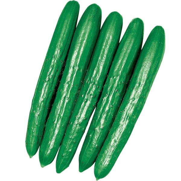 ●商品情報：病気に強く作り易い！ 高温に強く、うどんこ病・べと病・褐斑病に強いので栽培ラクラク。葉も小さめで過繁茂にならず、すっきりした草姿になるので、管理も簡単です。また、主枝にも花がビッシリつくのでピカピカの濃緑色の実が早期から収穫でき...