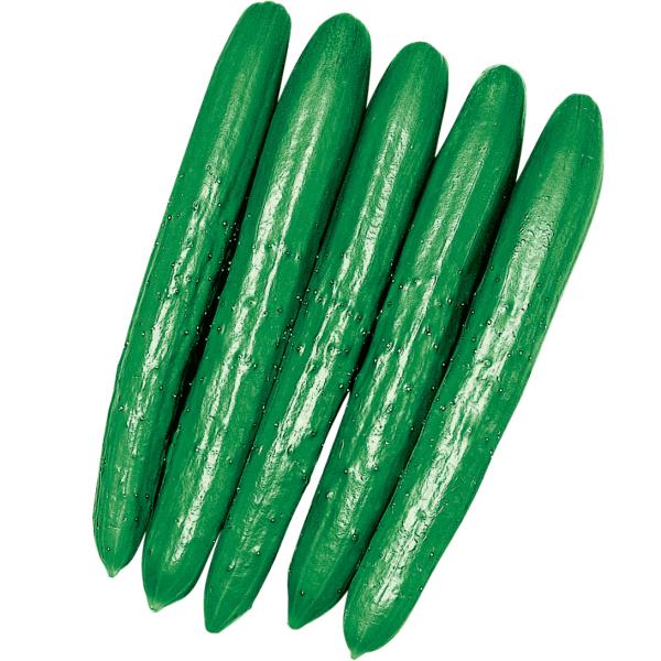 ●商品情報：早くから穫れるうえ、側枝がしっかり出るので休みなく収穫できる！ うどんこ病・べと病・褐斑病に強く、作り易い。●果長（約）：22〜23cm●お届け状態：実生9cmポット苗 ●備考：※ポットの口の対角線または直径が9cmとなります。...