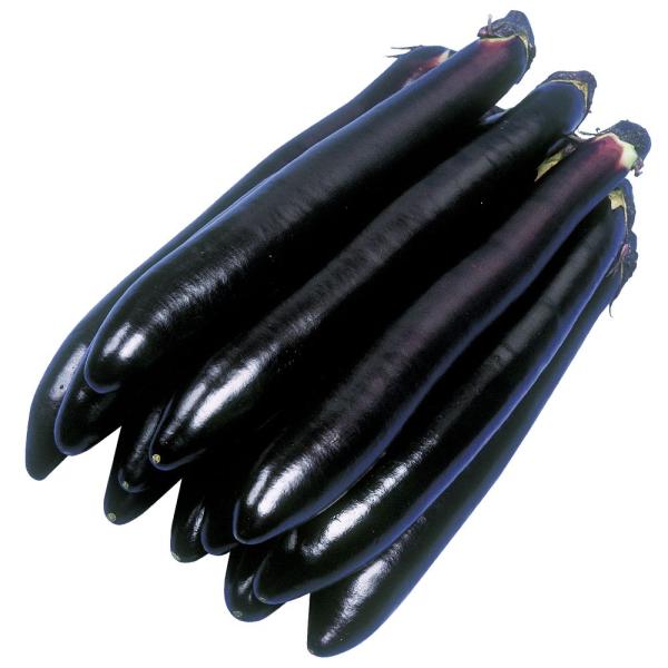 ●商品情報：着果は比較的早く豊産性で、低温期でも石ナスの発生が少ない。肉質は緻密で果皮も柔らかく食味良好。●果長（約）：35〜40cm●お届け状態：実生9cmポット苗 ●備考：※ポットの口の対角線または直径が9cmとなります。※関東〜九州北...