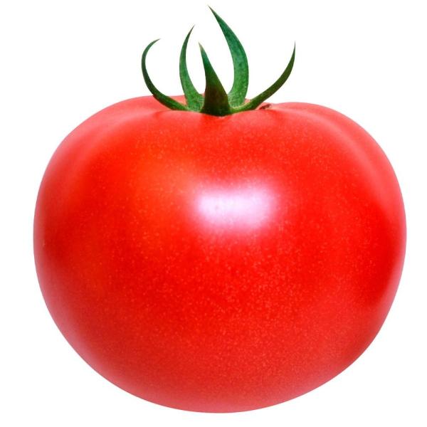 ●商品情報：毎年大好評の「こくうまパーフェクト」が、濃厚な味わいはそのままに葉カビ病抵抗性が加わってさらにパワーアップ！ 酸味と甘みのバランスが絶妙でコク深い大玉トマトです。より育てやすくなったので、今年家庭菜園デビューされる方にもおすすめ...