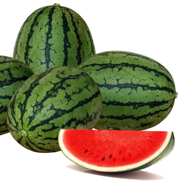 ●商品情報：甘さ・シャリ感絶品！　そのまますっぽり冷蔵庫に入るだ円形小玉スイカ。しまり良いシャリっとした果肉は高糖度になり易く甘くて食味最高!●小玉スイカ●果重（約）：2.5kg●糖度（約）：13度●お届け状態：接木9cmポット苗●備考：※...