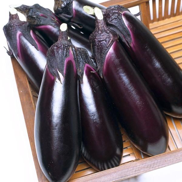 ●商品情報：とげがないから痛くない！ 植物全体にとげがなく、収穫作業時はもちろん、料理の際も扱い易い。果皮がやわらかく、漬物・煮物・焼ナス等さまざまに利用可能。（農林水産省登録品種　登録名:とげなし湖南1号）●お届け状態：接木9cmポット苗...