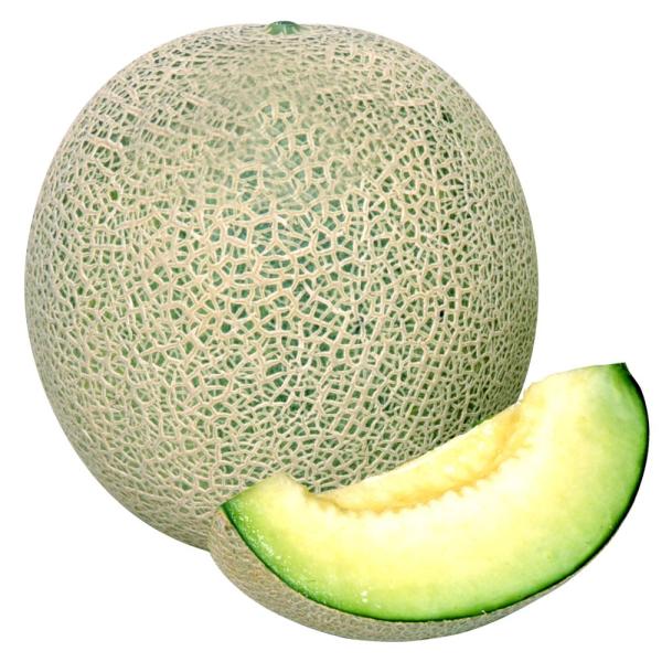 ●商品情報：肉質緻密で甘い果汁たっぷりとジューシな、とっても美味しいネットメロン。這作り向きの作りやすい優良品種。●果重（約）：1.4〜1.6kg●糖度（約）：16度●お届け状態：接木9cmポット苗●備考：※接木苗、特にウリ科植物(ゴーヤ・...