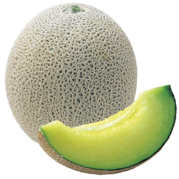 ●商品情報：うどんこ病・つる割病に強く、栽培しやすいネットメロン。雌花の着花が優れ、変形果や裂果がなく、見事なネットが美しい。果肉は緻密で糖度は15度以上で安定していて、とっても美味しい! 雨よけ・トンネル栽培向き。●果重（約）：1.5〜1...