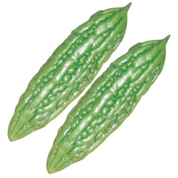 ●商品情報：苦味がマイルドで食べやすい！ 果皮は明るい黄緑色で、炒め物やスープなどの料理を美しく彩ってくれます。●果長（約）：30cm●果重（約）：500〜600g●お届け状態：接木9cmポット苗●備考：※接木苗、特にウリ科植物(ゴーヤ・キ...