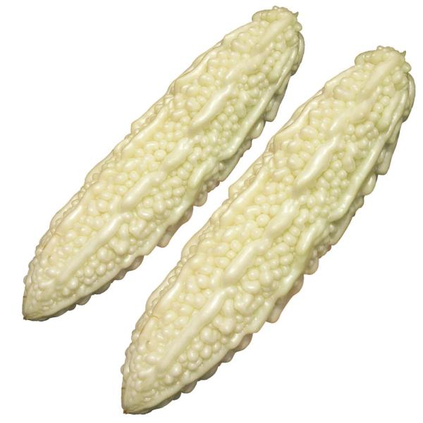 ●商品情報：超大型で人気の願寿苦瓜の白色種。苦味も少ないので、サラダ料理にも好適です。●果長（約）：30〜35cm●果重（約）：700g●お届け状態：接木9cmポット苗●備考：※接木苗、特にウリ科植物(ゴーヤ・キュウリ・メロン・スイカ)は、...