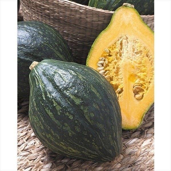 ●商品情報：ラグビーボールのような印象的な果形と、食味にこだわった品種。粉質で上品な甘さとなめらかな舌触りでとっても美味しい！●果重（約）：1.8〜2.0kg●開花から収穫までの日数（約）：45〜50日●お届け状態：種子●入り数：8粒●発芽...