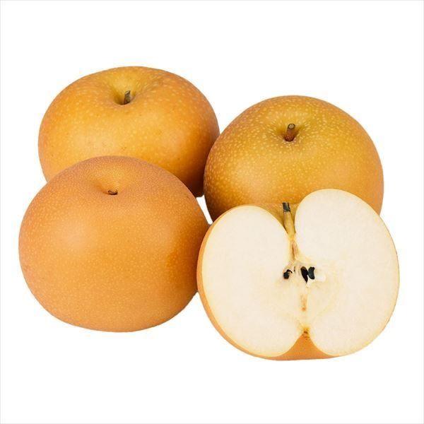 ●商品情報：平均500gにもなる大玉で、最高糖度18度(平均12度)!!  病気に強く樹勢も強いので育てやすいナシです。●お届け状態：接木1年生根巻苗●分類：落葉樹●生長後の樹高(約)：2.5〜3m●実の収穫時期(約)：9月下旬〜●耐寒性：...