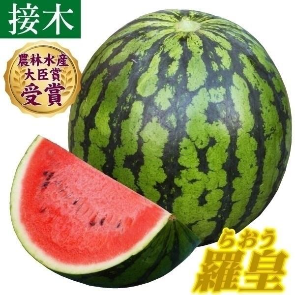●商品情報：ツルもち抜群で最後までしっかりと肥大し、かつ収穫が遅れても空洞果の発生が少ない、素晴らしい大玉スイカ！　糖度12〜13度と甘く、肉質緻密でシャリ感が極めて良く、美味しさもピカイチ！　その美味しさは皮の近くまで変わらず続くので、最...