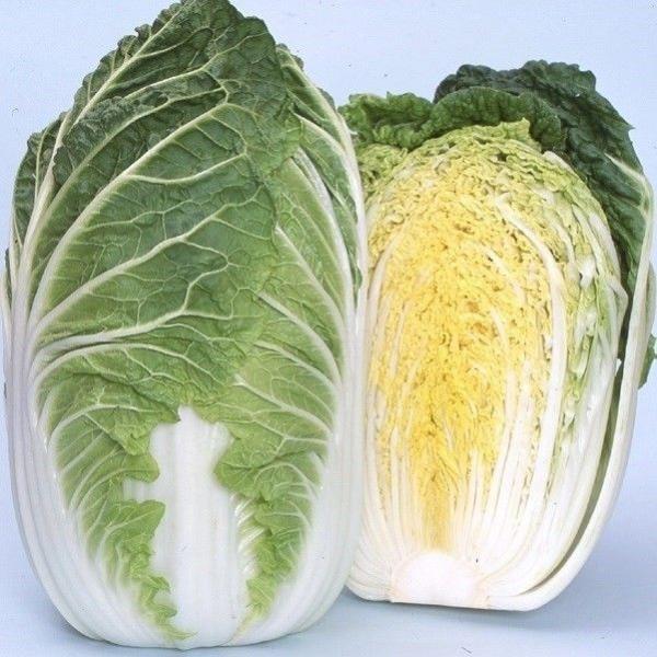 ●商品情報：定植後60日位で収穫できる、揃い良い黄芯系の早生品種。根コブ病や生理障害に比較的強く、家庭菜園でも栽培しやすい。極晩抽性なので春栽培に最適です。●球重（約）：2.5〜3kg●早晩性：早生●お届け状態：種子●入り数の目安：5mlあ...