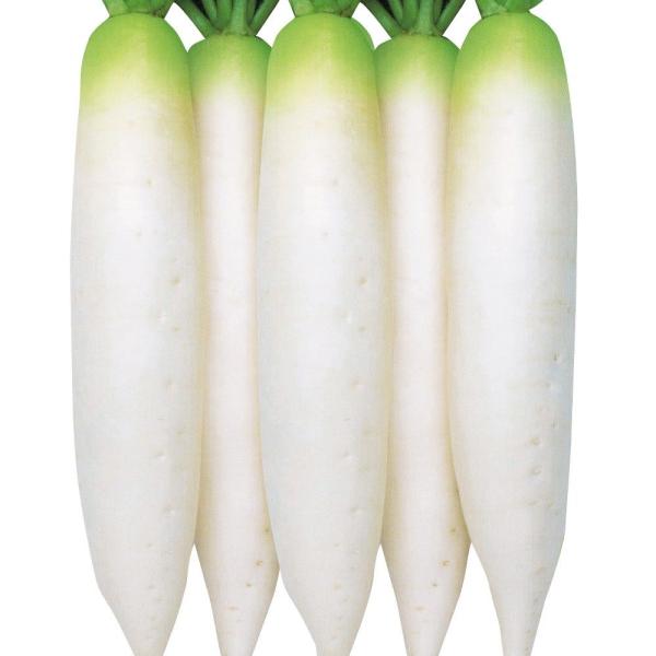 ●商品情報：甘味のあるもちもちっとした食感が美味しいもちコーン。茹でたあとに、甘辛い醤油ダレをつけながら焼けば極上の焼きとうもろこしに！　絹糸が根元まで乾燥したときが収穫の合図で、もちもち感抜群！もちコーンを使ったもちもちのいももちやドーナ...