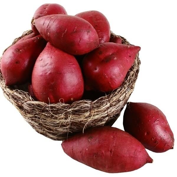 ●商品情報小ぶりのいもがたくさん採れて、深めのプランターでも栽培可能。栽培簡単でお子様と一緒に育てたい逸品です。食べ切りサイズのさつまいもは、甘味たっぷりで食味・食感とも最高の甘さ!●お届け状態：イモヅル●性質：粘質●備考：ご注文の早い方か...