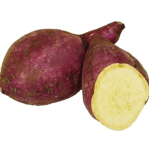 鹿児島で大人気!!●商品情報関東が「ベニアズマ」、関西が「鳴門金時」なら鹿児島は「紅さつま」というほどの人気のさつまいも。冷めた状態でしっとり美味!様々な料理法で楽しめます。●お届け状態：イモヅル●粘度：粉質