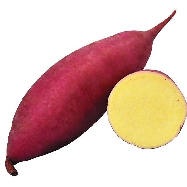 ●商品情報：淡黄色で外観が美しく、十分な甘みと上品な風味があり、「シロタ」もほぼ発生せず美味しい干しいができるさつまいも！サツマイモネコブセンチュウに抵抗性あり。●お届け状態：イモヅル●性質：やや粘質●備考：ご注文の早い方から、5月中旬より...