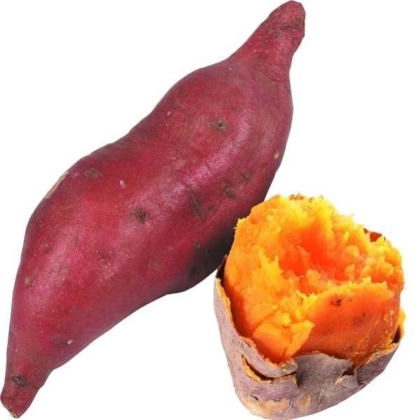 ●商品情報徹底した品質管理で作られたウイルスフリー苗。収穫までが通常よりも早く、さつまいもの色・ツヤ・揃い・貯蔵性もより向上!●お届け状態 ：イモヅル●備考：遺伝子組み換えではありません※「海外持出禁止（公示（農水省HP）参照）」