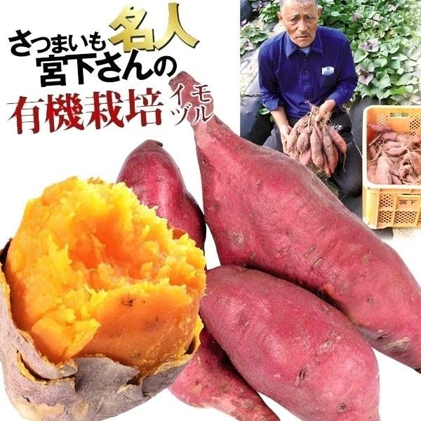●商品情報【名人宮下さんの有機栽培イモヅル】国の厳しい基準を満たした「有機JAS認定」を受けた畑で、さつまいも名人“宮下さん”が大切に育てた正真正銘の「有機栽培イモヅル」です。βカロテン含有量が『高系１４号選抜』のなんと１００倍!鮮やかなオ...