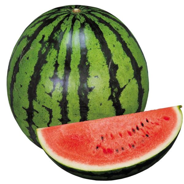 ●商品情報：どこを食べても甘い！　皮際までず〜っと甘く、最後まで美味しさが続く画期的新品種。糖度12〜13度で甘くシャリ感も強く、飽きのこない抜群の美味しさです。●中玉スイカ●果重（約）：6〜8kg●糖度（約）：13度●お届け状態 ：接木9...