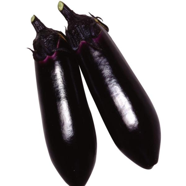 ●商品情報：極めて豊産な極早生ナス!　どんどん実るので食べるのが追い付かないかも？●果長（約）：13cm●早晩性：極早生●お届け状態：種子●入り数の目安：1mlあたり約60〜100粒入り※品種により差があります。●発芽適温：20〜30℃※発...