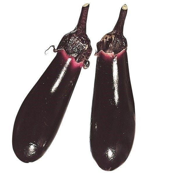 ●商品情報：皮がやわらかく重量感があり、風味も抜群!●果長（約）：15cm●早晩生：早生●お届け状態：種子●入り数の目安：1mlあたり約60〜100粒入※品種により差があります●発芽適温：20〜30℃※発芽させるには播種床を上記の温度にして...