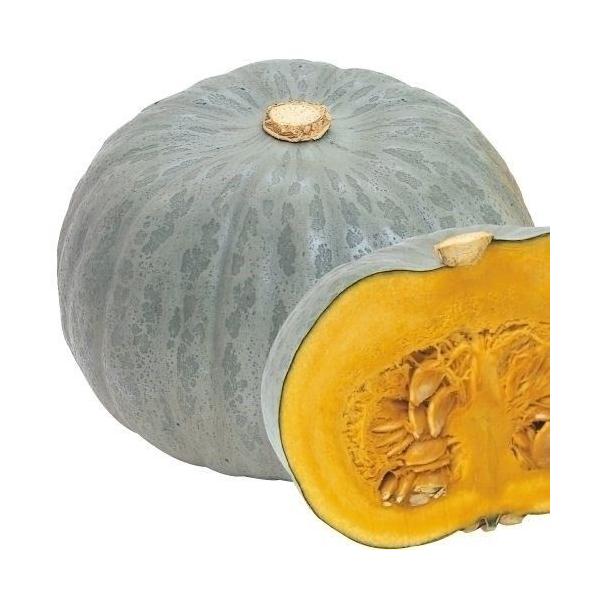 ●商品情報：近成性で実付きが安定し大変作りやすい、白磁器のような光沢ある美しい外観の白皮南瓜。果肉は肉厚で濃橙黄色、強粉質でホクホクの食味で完熟すれば甘みも増し、素晴らしい食味となります。バーベキューや天ぷらに最適な美食家のための南瓜です。...