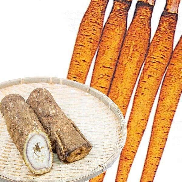 ●商品情報：短根太ごぼうの代表種！ 繊維質が少なく柔らかい！ 京料理等の高級料理にも使われ、煮物に最適の品種です。●根長（約）：40cm●早晩性：極早生●入り数の目安：15mlあたり約400〜600粒入り※品種により差があります。●発芽適温...