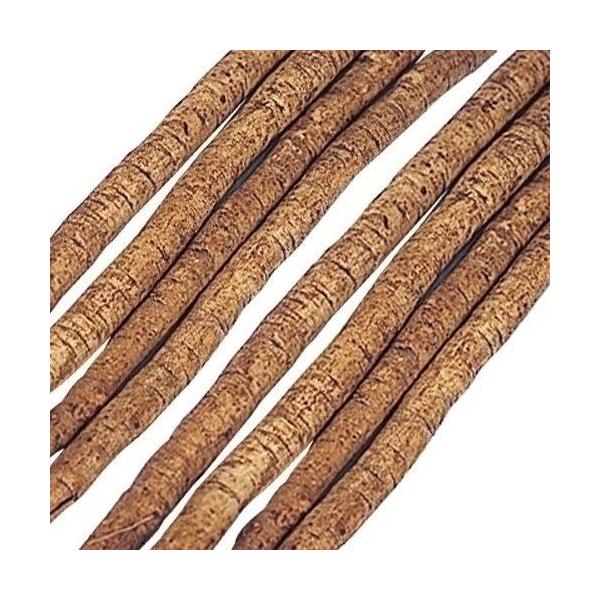 ●商品情報：尻まで良く太り大長になる人気品種！●根長（約）：120cm●早晩性：晩生●入り数の目安：15mlあたり約400〜600粒入り※品種により差があります。●発芽適温：20〜25℃※発芽させるには播種床を上記の温度にしてください●栽培...