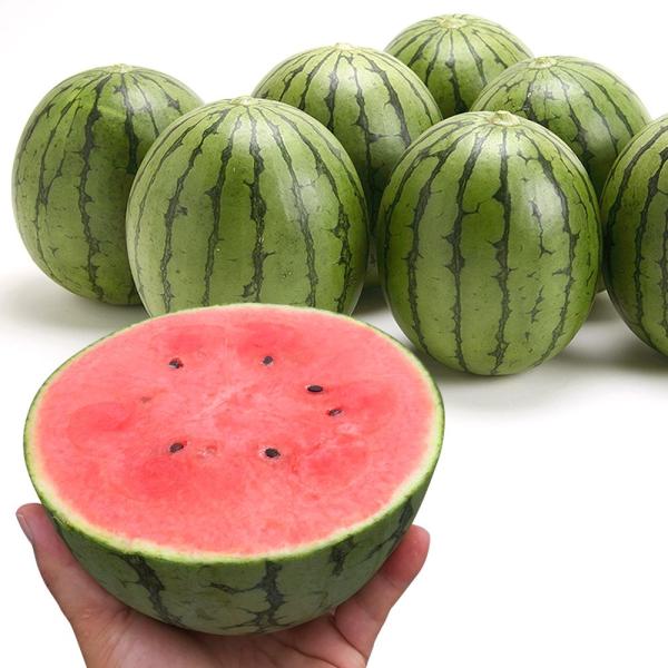 ●商品情報：タネが小さく丸かじり！ 種の大きさが一般的な小玉種の約１/４と小さい。種ごと気にせずガブッ!スイカの種は、ミネラル・ビタミン・脂肪酸・タンパク質なども豊富！●小玉スイカ●果重（約）：1.6〜2.2kg●糖度（約）：14〜15度●...