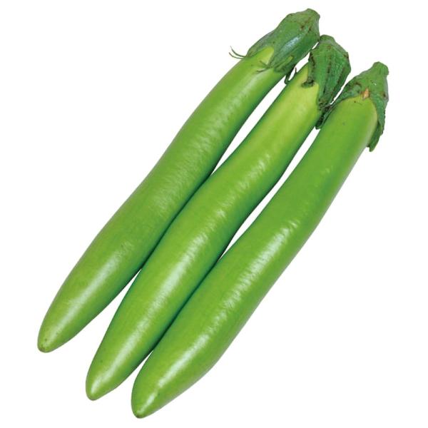 ●商品情報：肉質やわらかく旨味があり、焼ナス・揚物・煮物などに最適な緑ナス！ 生育旺盛で多収。●果長（約）：40cm●お届け状態：実生9cmポット苗 ●備考：※ポットの口の対角線または直径が9cmとなります。※関東〜九州北部の平坦地区の露地...