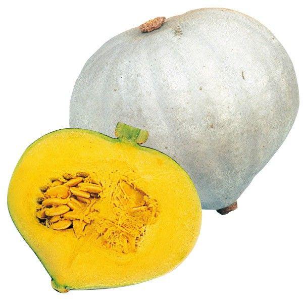 ●商品情報：長〜く貯蔵できる、大人気のホワイトカボチャ！　光沢のある白皮が美しく、ホクホクで美味しい!　強粉質の果肉は厚く、食べ応え満点。上手に風乾すると3か月以上の貯蔵ができ、収穫1か月後からどんどん甘味アップ!●果重（約）：2kg●開花...