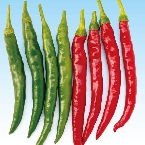 ●商品情報：分枝多く、作りやすい。青・赤熟果ともに辛味が強い！●果長（約）：11〜12cm●お届け状態：種子●入り数：30粒●発芽適温：25〜30℃※発芽させるには播種床を上記の温度にしてください。●標準発芽率：75%●栽培ポイント：種子は...