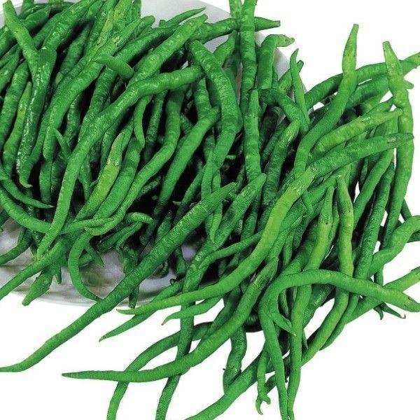 ●商品情報：細長い外見のユニークな美味しい甘トウガラシ。どんどん収穫できます。丸ごと輪切りにするだけなので調理も楽々！　奈良の伝統野菜。●果長（約）：10cm●お届け状態：種子●入り数の目安：1mlあたり約80〜100粒※品種により差があり...