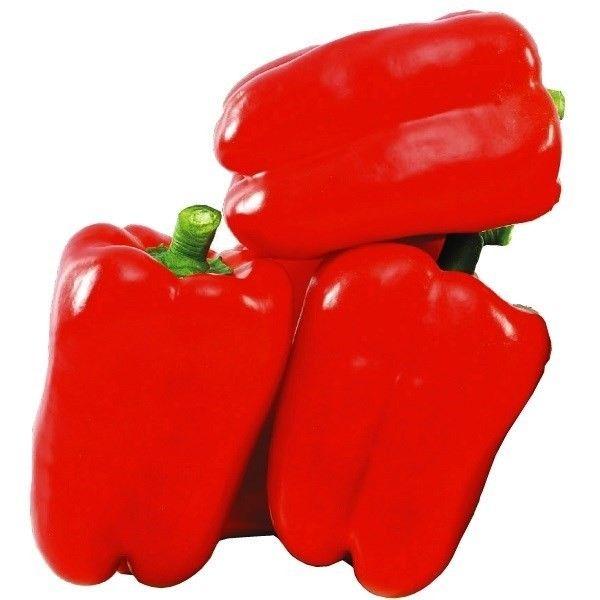 ●商品情報：大果で肉厚で甘く食味極上!　料理をオシャレにするカラフルパプリカ。安定して収穫でき、栽培も簡単です!●果重（約）：170〜210g●お届け状態：種子●入り数：10粒●発芽適温：25〜30℃※発芽させるには播種床を上記の温度にして...