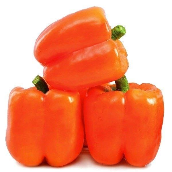 ●商品情報：大果で肉厚で甘く食味極上!料理をオシャレにするカラフルパプリカ。安定して収穫でき、栽培も簡単です!●果重（約）：170〜210g●お届け状態：種子●入り数：10粒●発芽適温：25〜30℃※発芽させるには播種床を上記の温度にしてく...