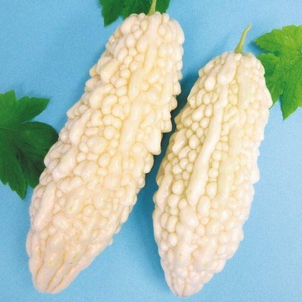 ●商品情報：ずんぐりとした短形で、果皮は光沢のある純白苦瓜。マイルドで苦味少なく食べやすい!●果長（約）：20〜25cm●果重（約）：400g●お届け状態：種子●入り数の目安：10mlあたり約8〜12粒※品種により差があります。●発芽適温：...