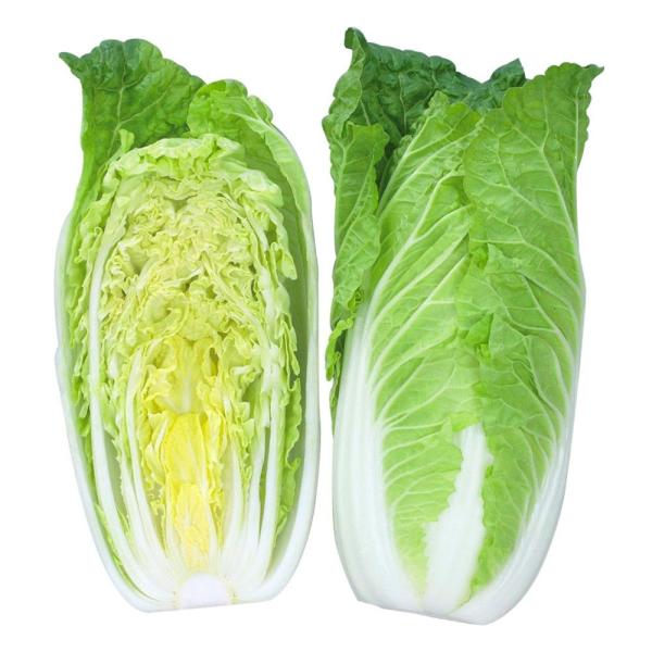 ●商品情報：200gほどの結球始めから1.2kgほどのミニハクサイまで、色々なサイズで収穫できる! 耐暑、耐雨性抜群で生理障害にも強く育てやすい品種です。葉はやわらかく肉厚で、浅漬けや鍋、生のままサラダにしても美味!●球重（約）：200g〜...