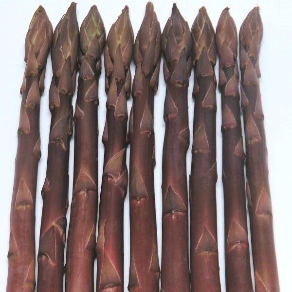 ●商品情報：鮮やかな赤紫色のユニークなアスパラガス。茎は太く、やわらかで緑アスパラガスより甘味が強く食味抜群!!※茹でると緑色になります。●お届け状態：種子●備考：播種や植え付け後の栽培条件、天候等によりその結果が異なることがありますが、弊...