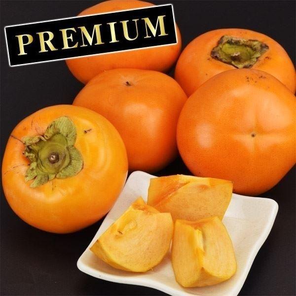 ●商品情報：9月下旬頃から収穫できる極早生甘柿!! 同じころに収穫期を迎える「西村早生」「早秋」よりも、大玉(約300g）＆甘い(糖度約17度)と注目の次世代品種で、果重は450gを超えることも! 鳥取県生まれ。★プレミアム苗：カキはゴボウ...