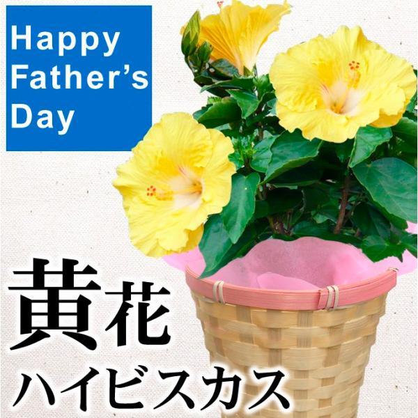 ■商品情報夏の定番花木！■お届け状態カゴ入り・鉢植え■日照日なた■栽培適地鉢■備考カゴ・ラッピング付きでお届けします。カゴ・ラッピングの色やサイズ指定はできません。メッセージカード付です。※個別メッセージカードは対応できません。6/17〜6...