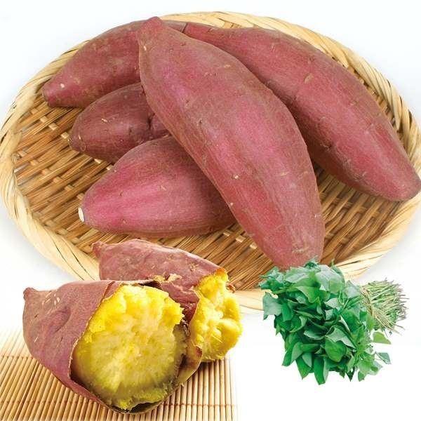 ●商品情報超人気企画！！早くに植えつけたい方、必見。皆様のご要望にお応えして、4月下旬より発送開始の特別便ができました。デビューして瞬く間に大人気品種となったシルクスイート。「春こがね」と「紅まさり」という品種を掛け合わせ両品種の良いとこ取...