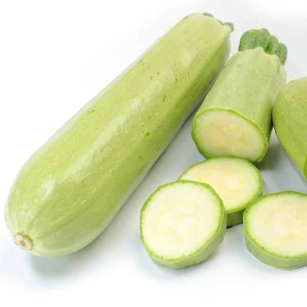 ●商品情報：ズッキーニはつるが伸びないので場所を取らない！ クセが少なく甘い。●果長（約）：12〜15cm●お届け状態：実生9cmポット苗 ●備考・ご注意点：※ポットの口の対角線または直径が9cmとなります。※関東〜九州北部の平坦地区の露地...